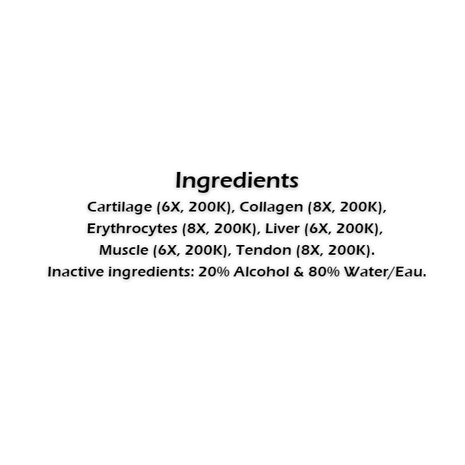 Connectissue - Vital Life - Énergie PLP - Suppléments et Produits Naturels