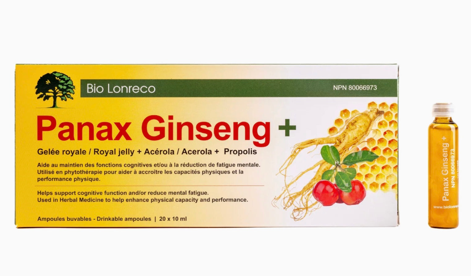 Panax Ginseng + – Énergie PLP - Suppléments et Produits Naturels
